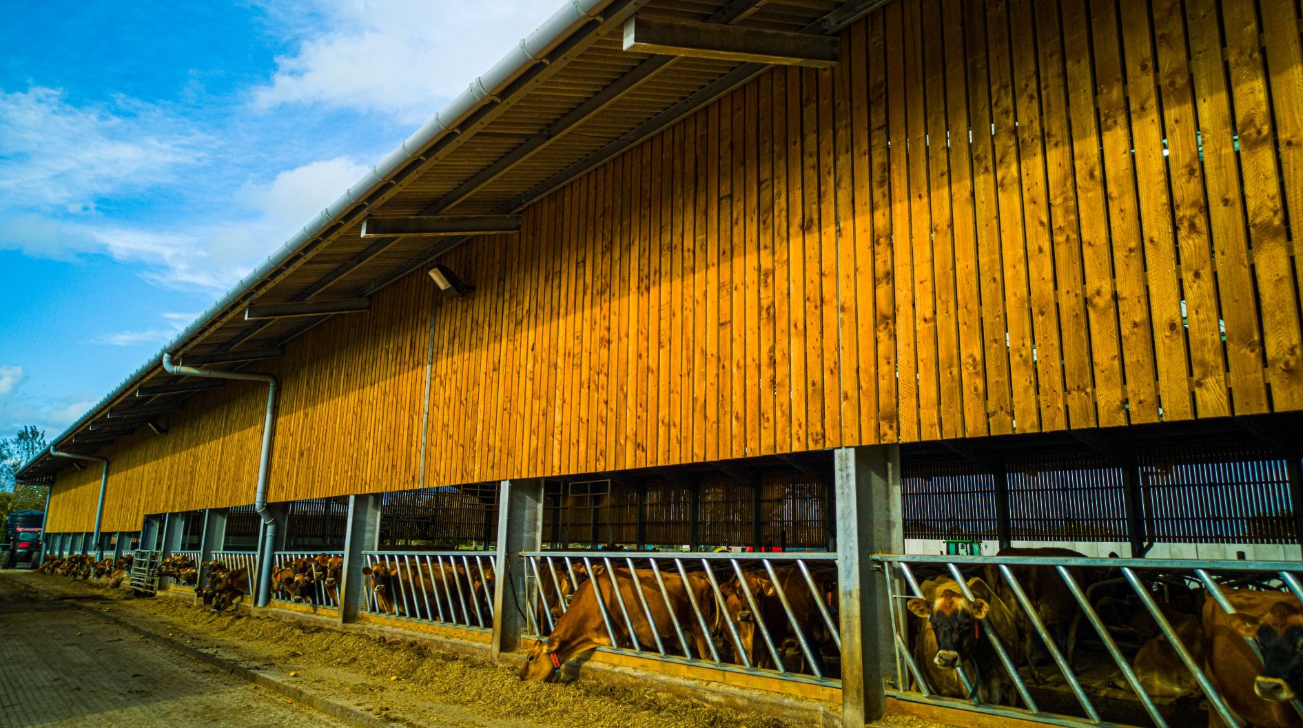 Trinity Cow Sheds | Rok Group